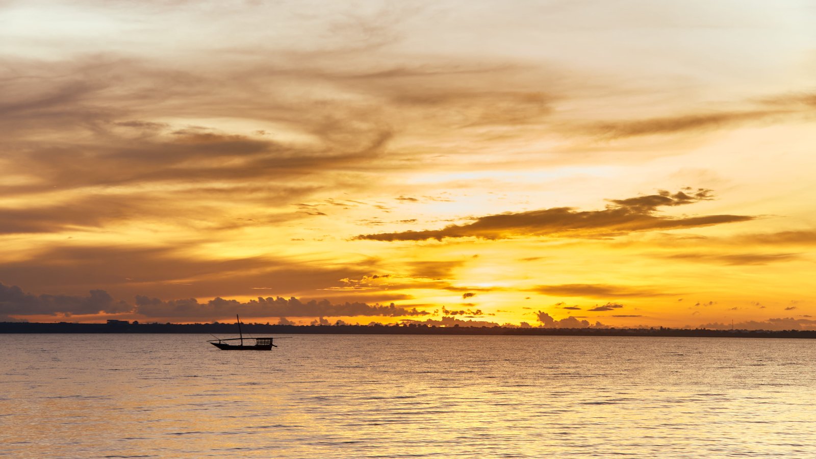 Mkuki Adventures Tours & Safaris | Experience Tanzania Safaris